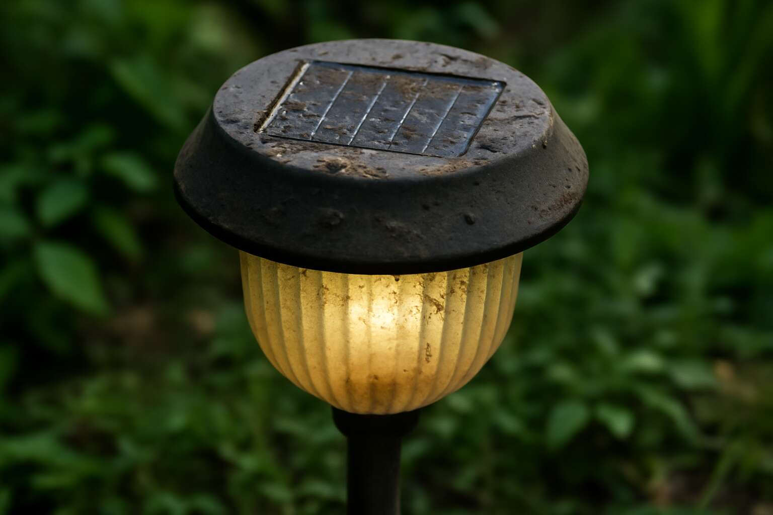 Why Solar Light Not Working? Top Reasons and Easy Fixes You Need to ...
